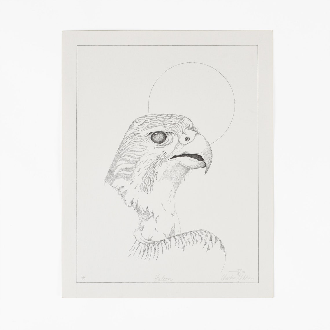 Vintage 1998 Northwest Coast Indigenous Falcon Drawing by - Etsy