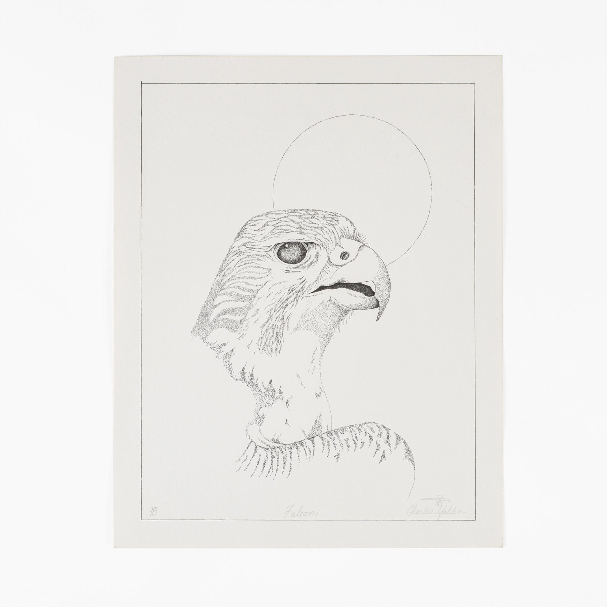 Vintage 1998 Northwest Coast Indigenous Falcon Drawing by Charles ...