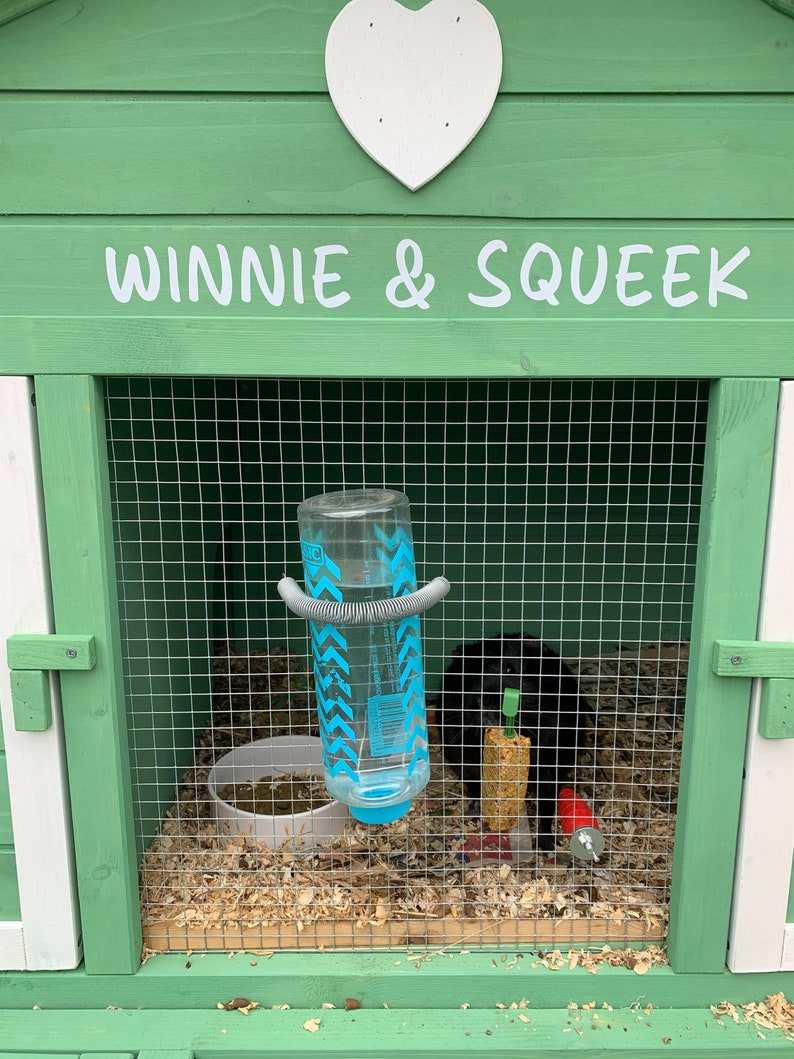 Custom Cage Name Sticker Label Rabbit Guinea Pig Hamster ONE | Etsy