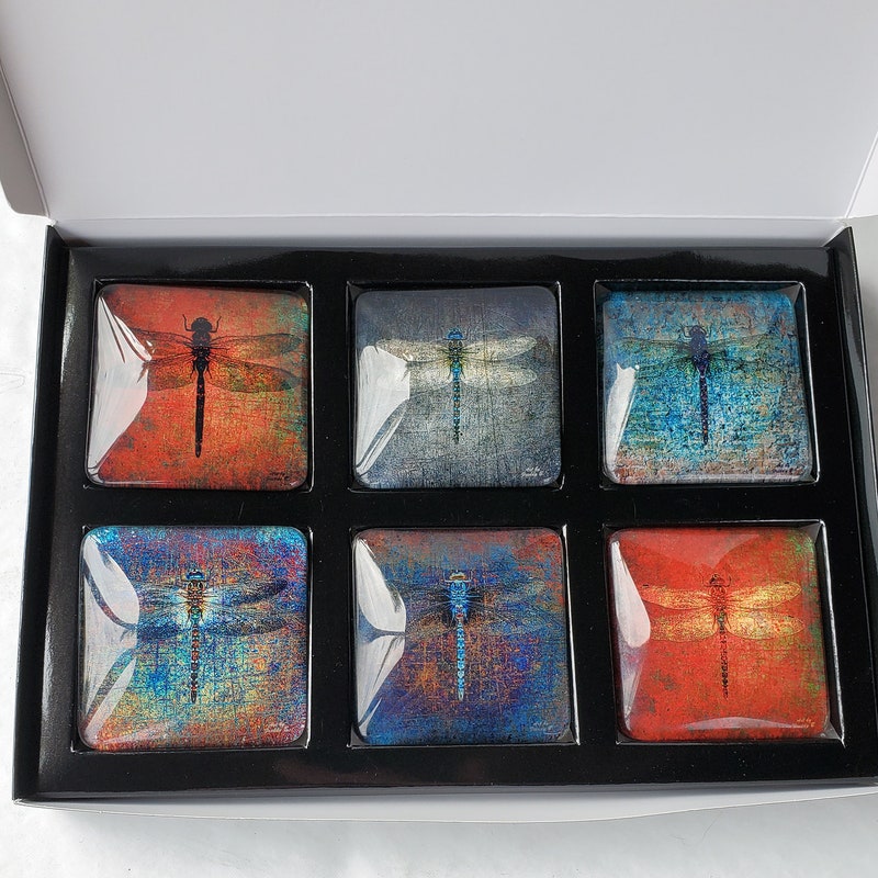 Acrylic Magnet - Etsy