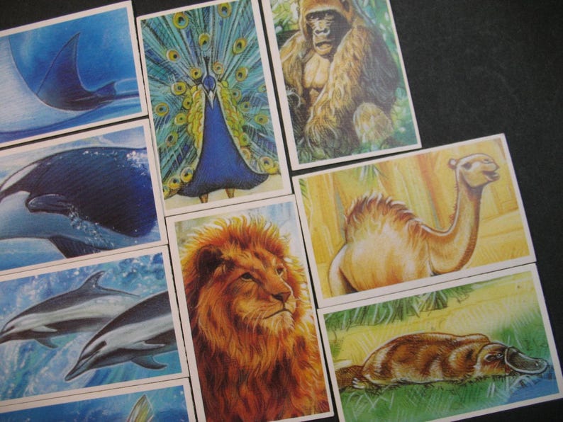 GOING WILD Wildlife Survival Extinct Animals Collector Cards | Etsy