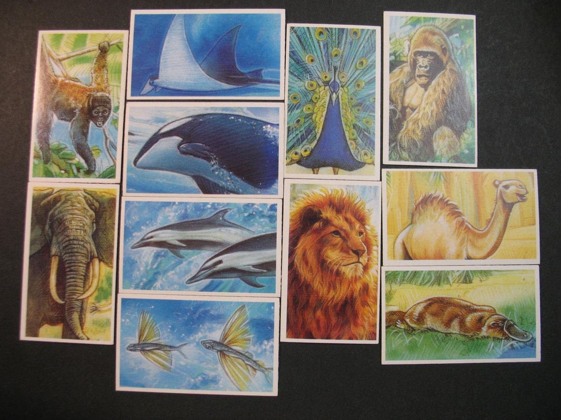 GOING WILD Wildlife Survival Extinct Animals Collector Cards | Etsy