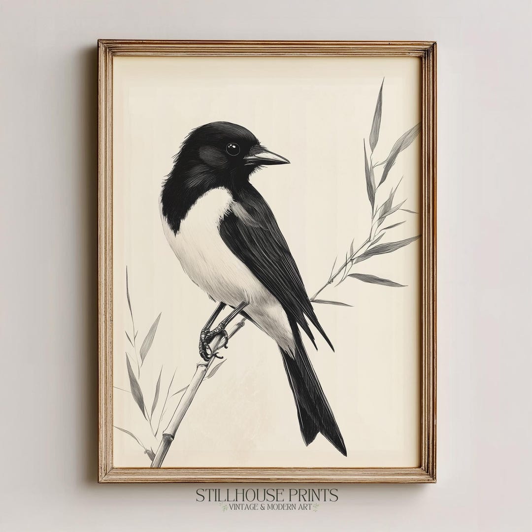 Vintage Magpie Printable - Realistic Black-and-white Bird Art, Rustic ...