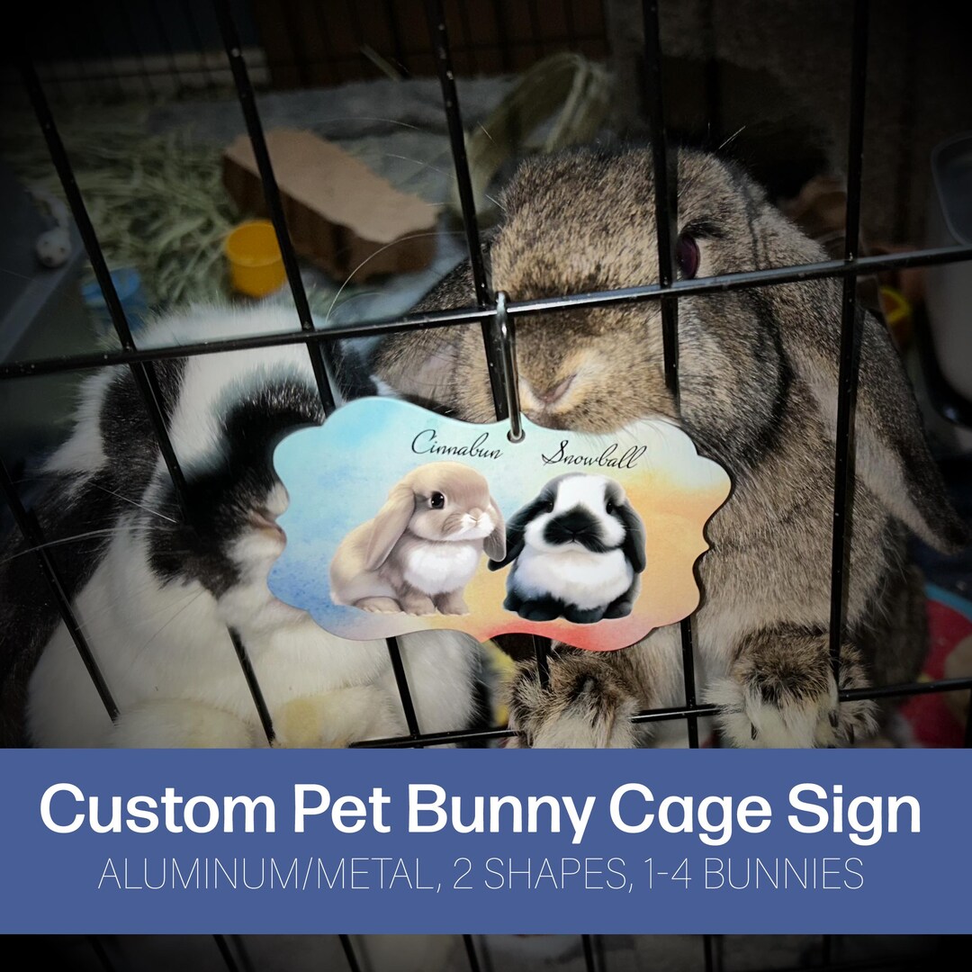 Custom Pet Bunny Cage Sign: Personalized Metal Rabbit Name Plaque - Etsy