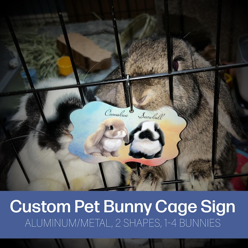 Custom Pet Bunny Cage Sign: Personalized Metal Rabbit Name Plaque - Etsy