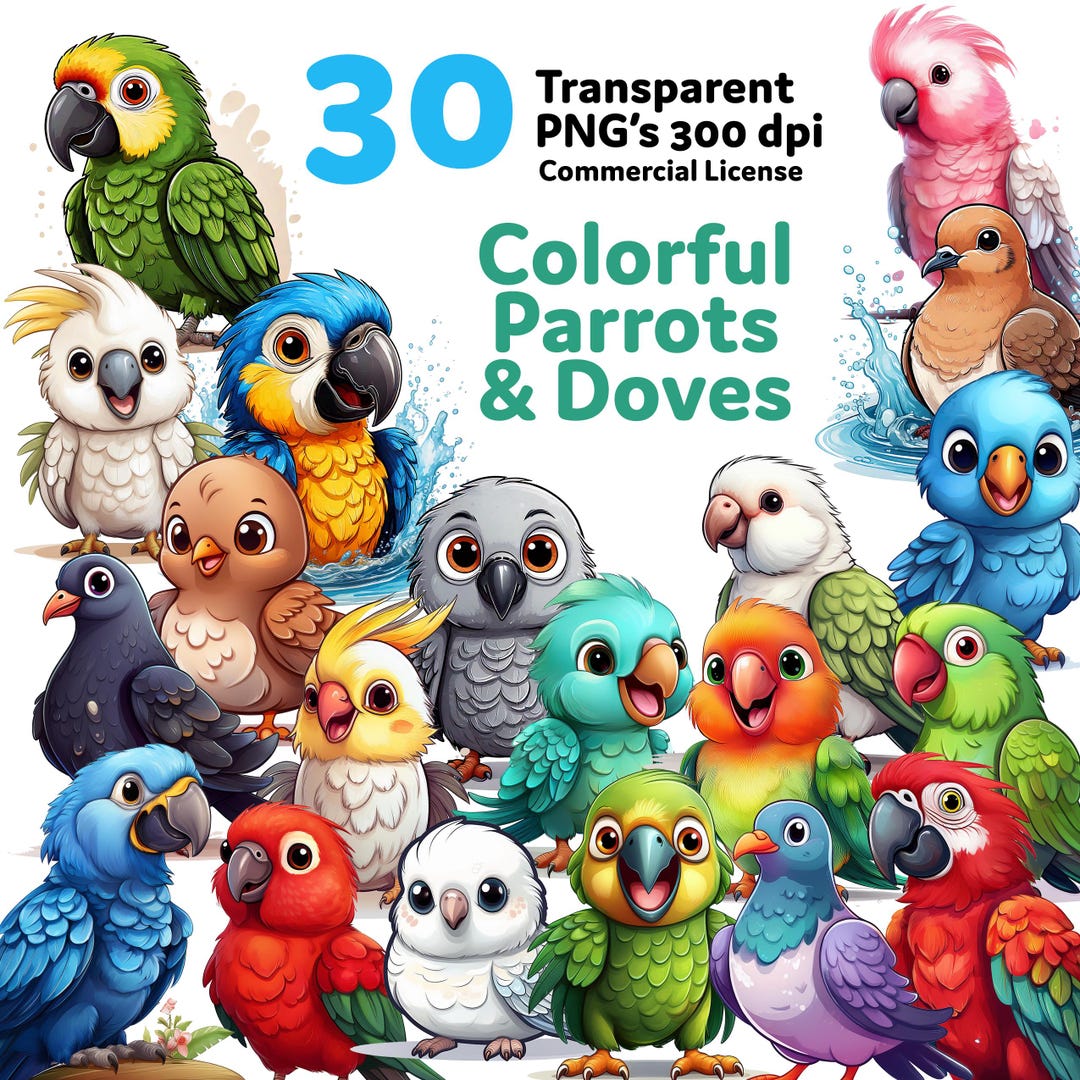 Colorful Parrots & Doves Clipart - 30 Transparent Png's, Adorable, Cute ...