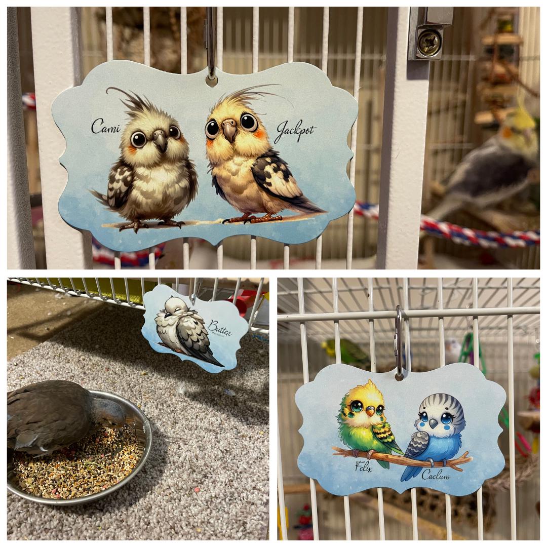 Custom Pet Bird Cage Sign: Personalized Metal Bird Name Plaque - Etsy