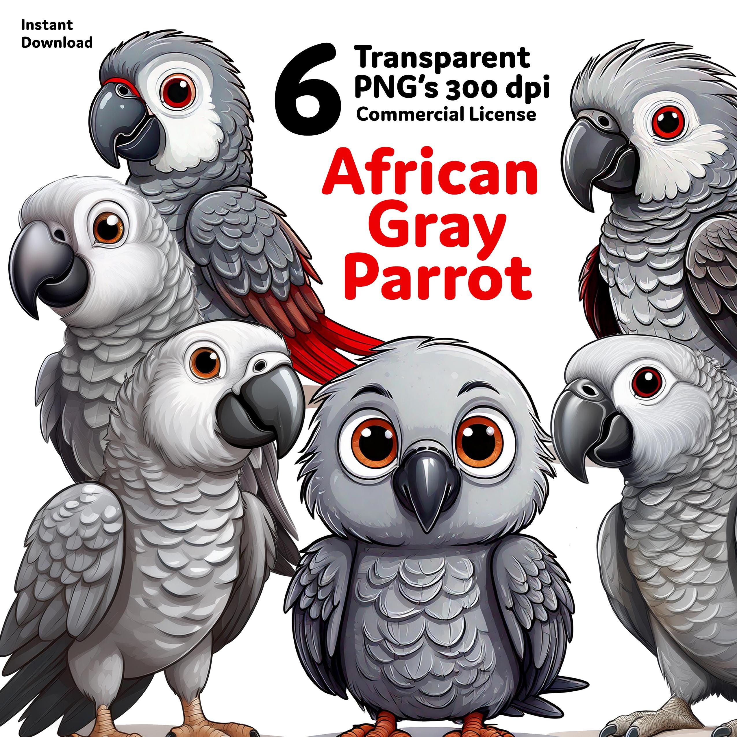African Gray Parrot Clipart Bundle: Customizable PNG Files (digital ...