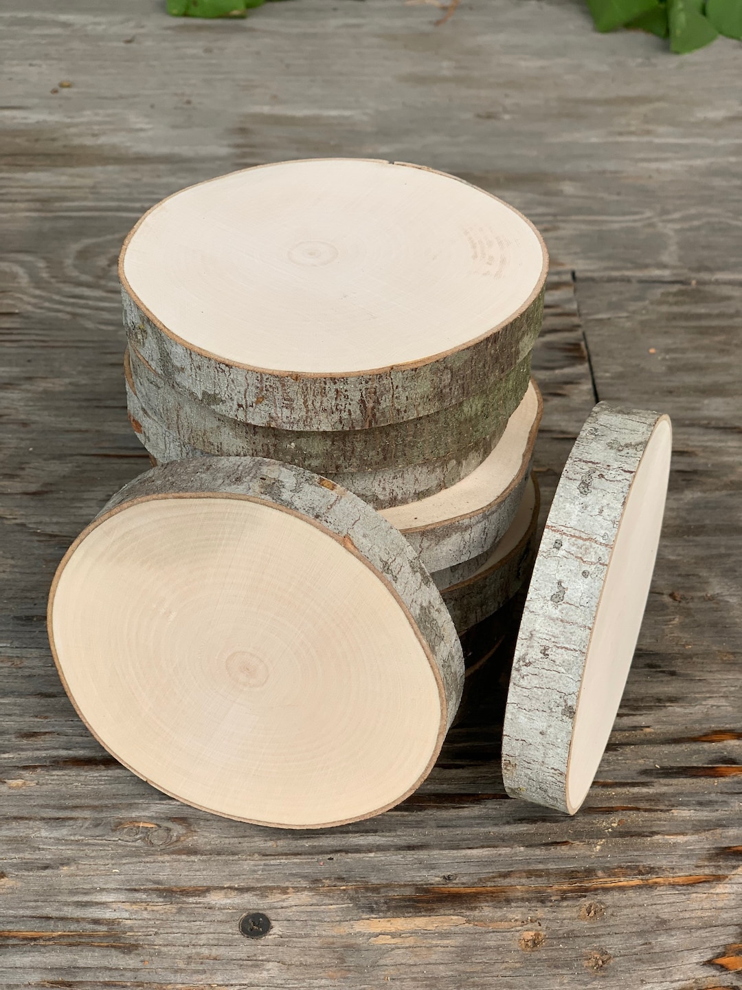 10 Vine Maple Wood (4-5in) Slice Wood Coasters Disk Center Piece DIY ...