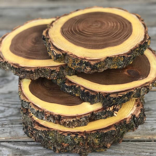 Rustic Wood Discs - Etsy