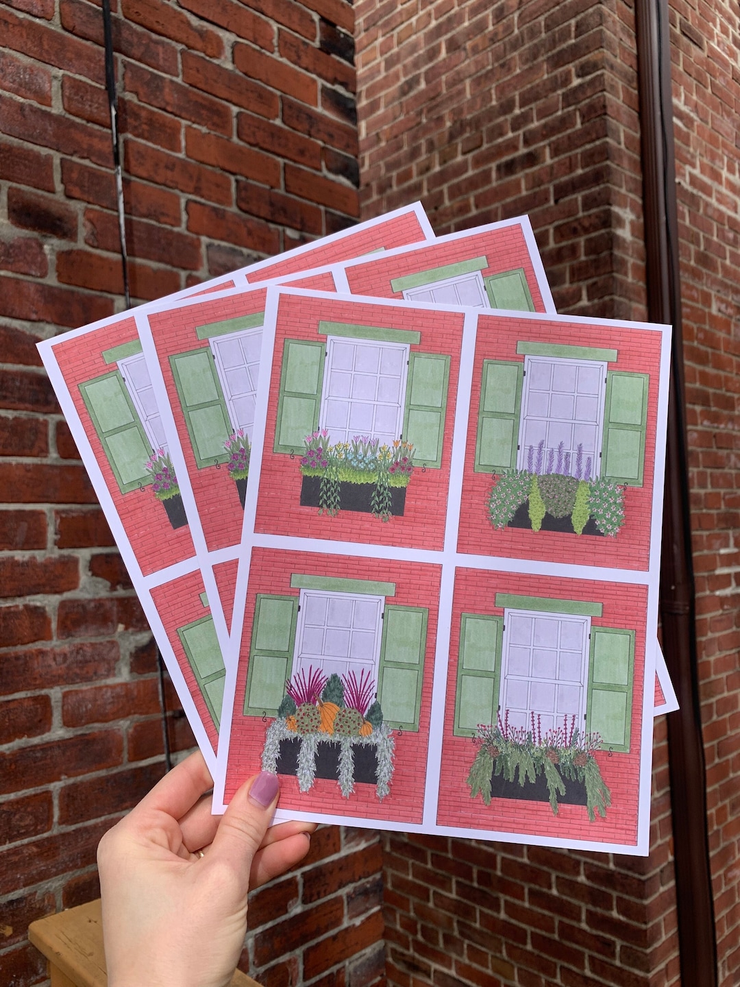 Four Seasons Window Box Flower Art, 8x10 Flower Drawing Print ...