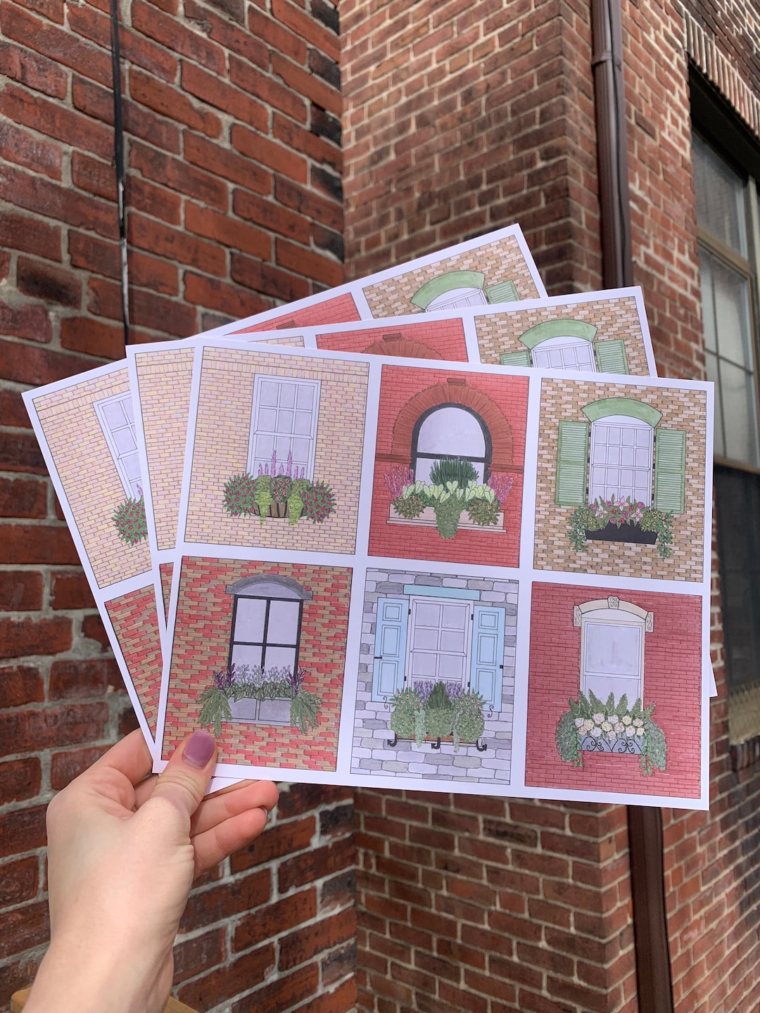 Botanical Window Box Flower Art, Flower Wall Art, Botanical Drawing ...