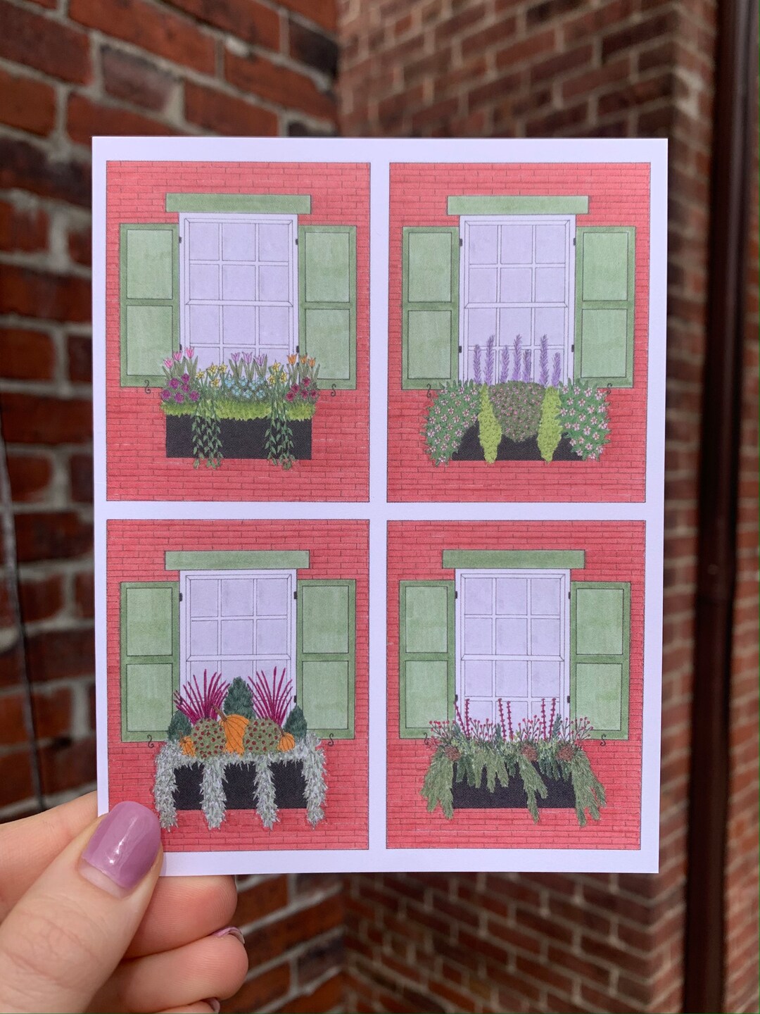 Four Seasons Window Box Flower Cards, Flower Greeting Cards, Botanical ...