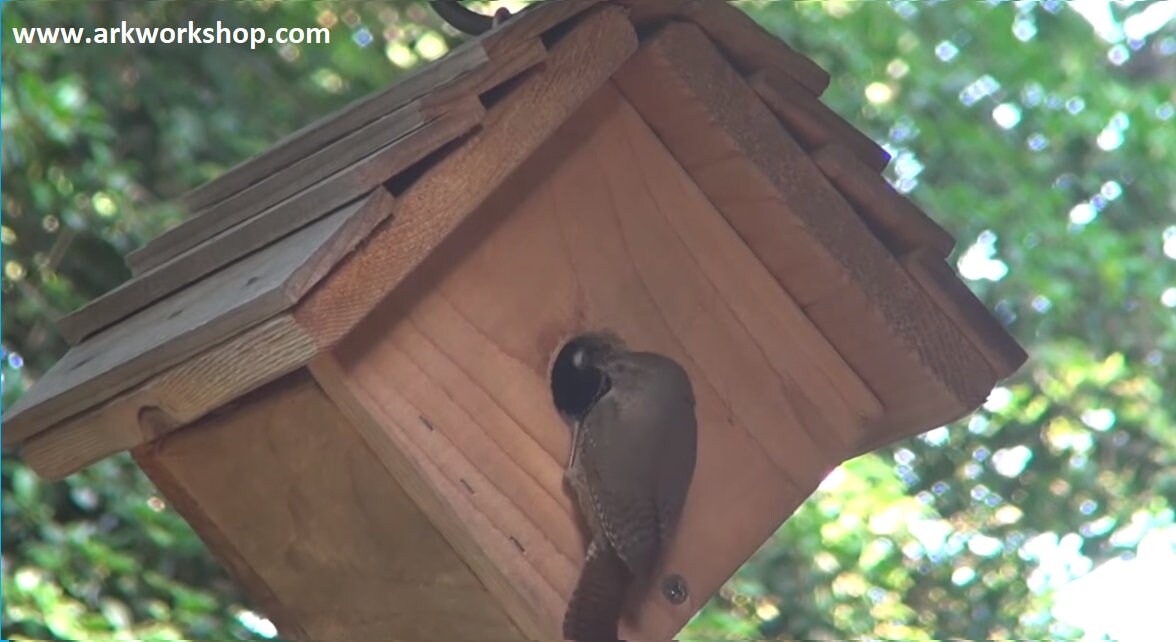 Ark Workshop WREN House Cedar Shelter Box Home for Wrens, HANGING, SLAT ...
