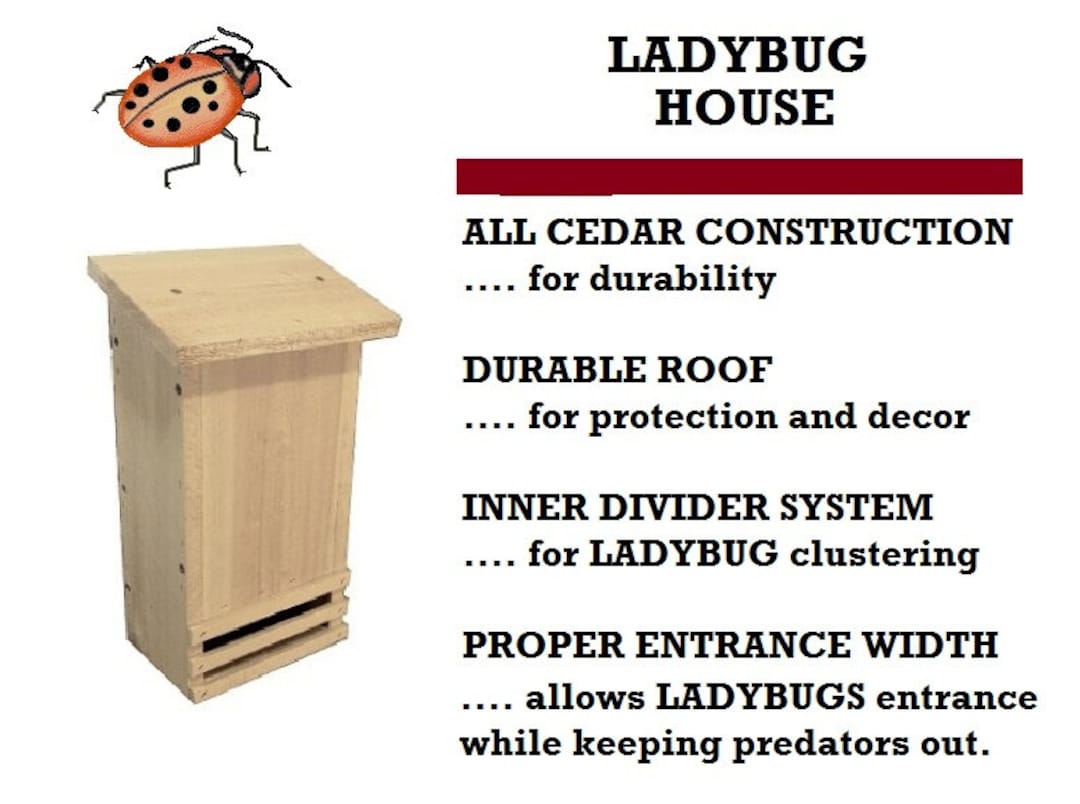Ark Workshop Ladybug House Cedar Shelter Box for Lady Bugs and Garden ...