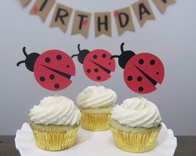 Lady Bug ONE Cake Topper Girl First Birthday Ladybug - Etsy