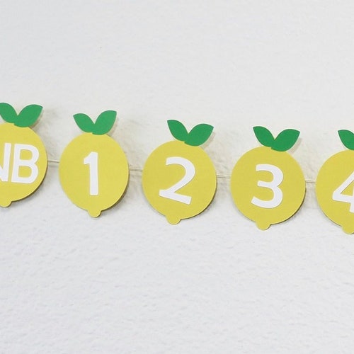 Lemon Happy Birthday Banner Lemon Birthday Banner Lemon | Etsy
