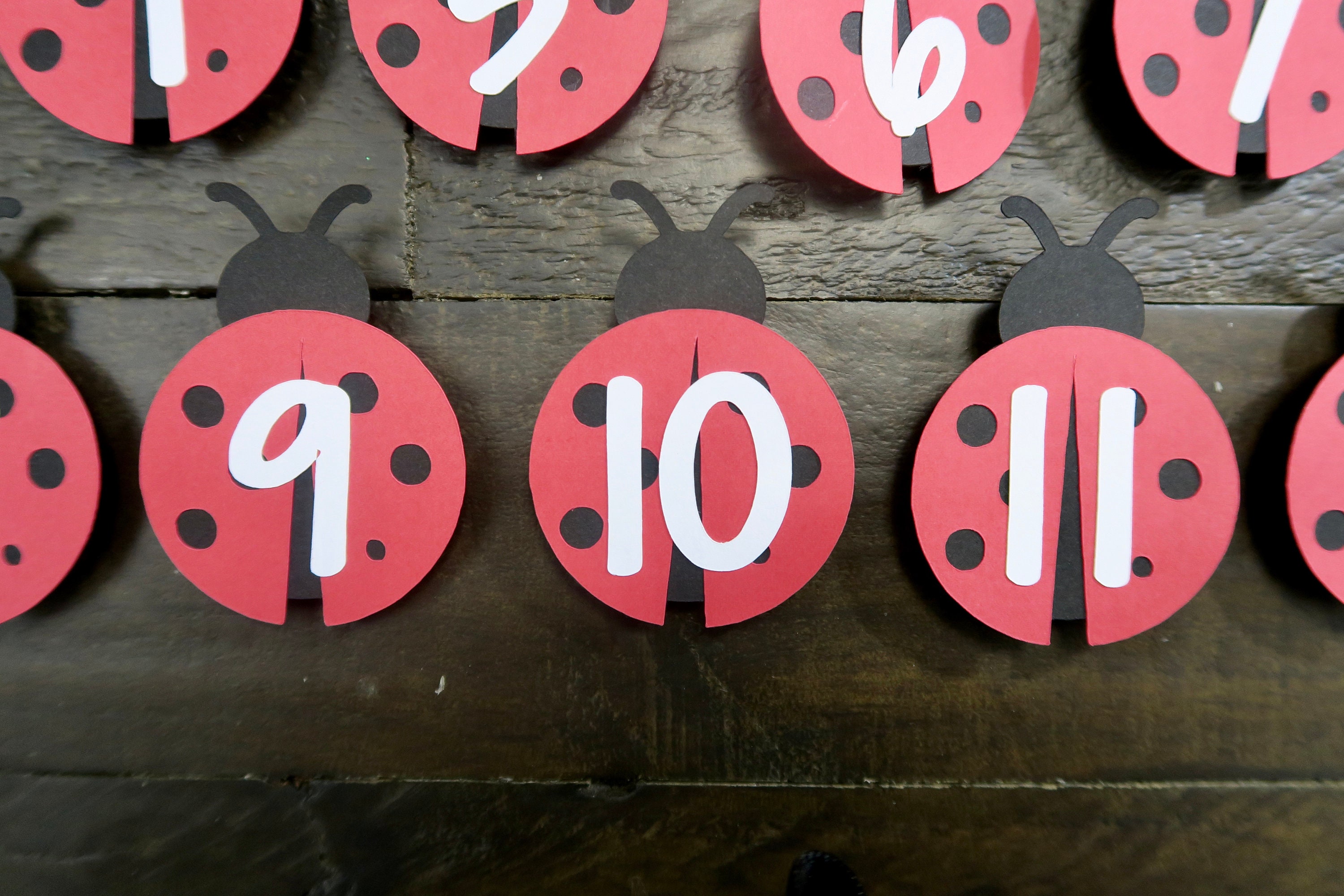 Ladybug Monthly Photo Banner Ladybug Birthday Lady Bug | Etsy