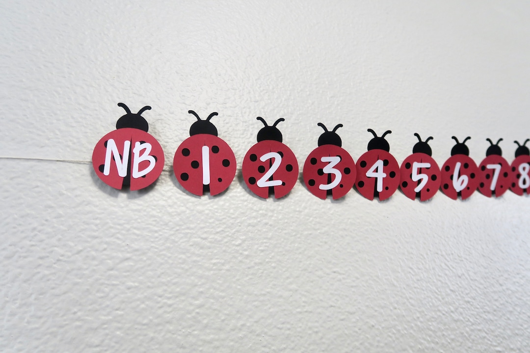 Ladybug Monthly Photo Banner - Ladybug Birthday, Lady Bug Theme ...