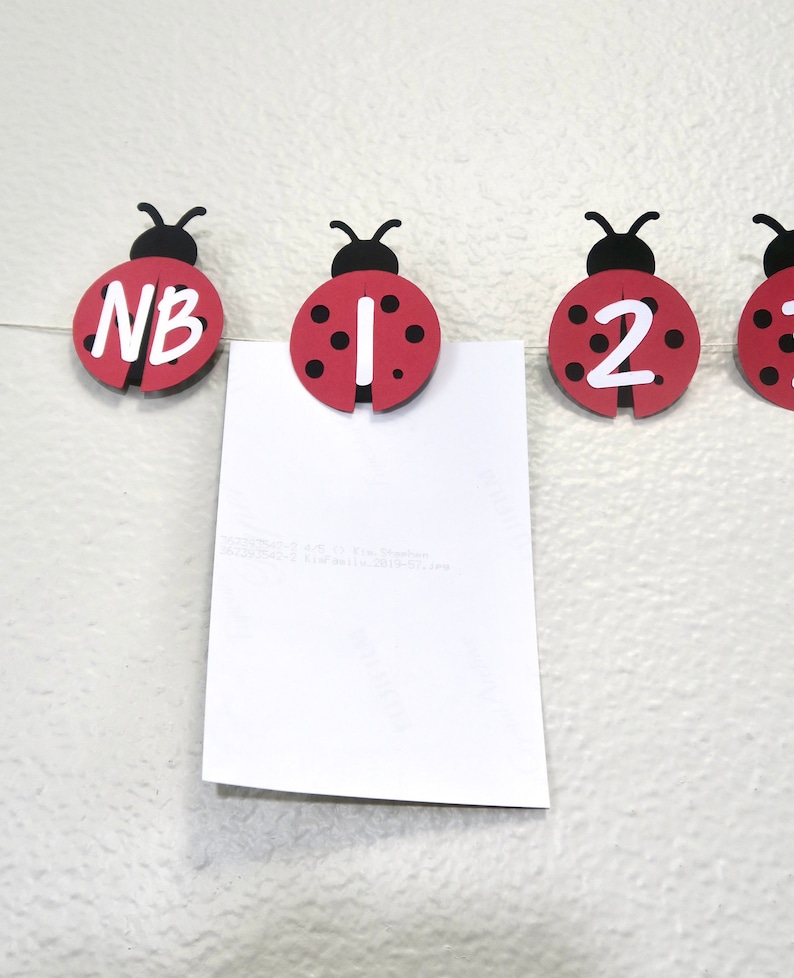 Ladybug Monthly Photo Banner Ladybug Birthday Lady Bug | Etsy
