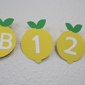 Lemon Theme Monthly Photo Banner Lemon First Birthday - Etsy