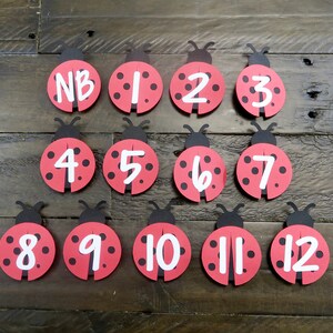 Ladybug Monthly Photo Banner - Ladybug Birthday, Lady Bug Theme ...