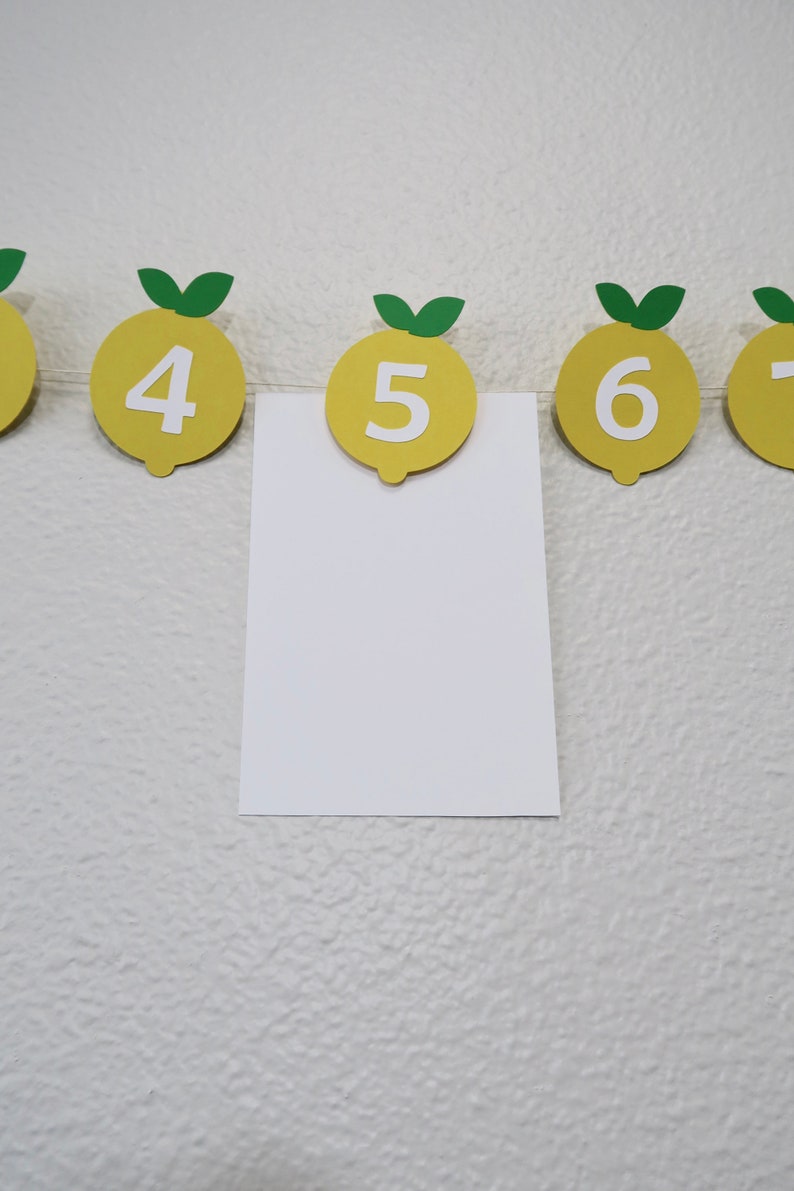 Lemon Theme Monthly Photo Banner Lemon First Birthday - Etsy