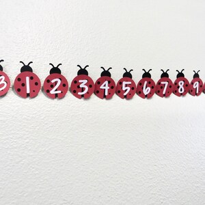 Ladybug Monthly Photo Banner - Ladybug Birthday, Lady Bug Theme ...