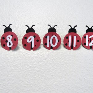 Ladybug Monthly Photo Banner - Ladybug Birthday, Lady Bug Theme ...