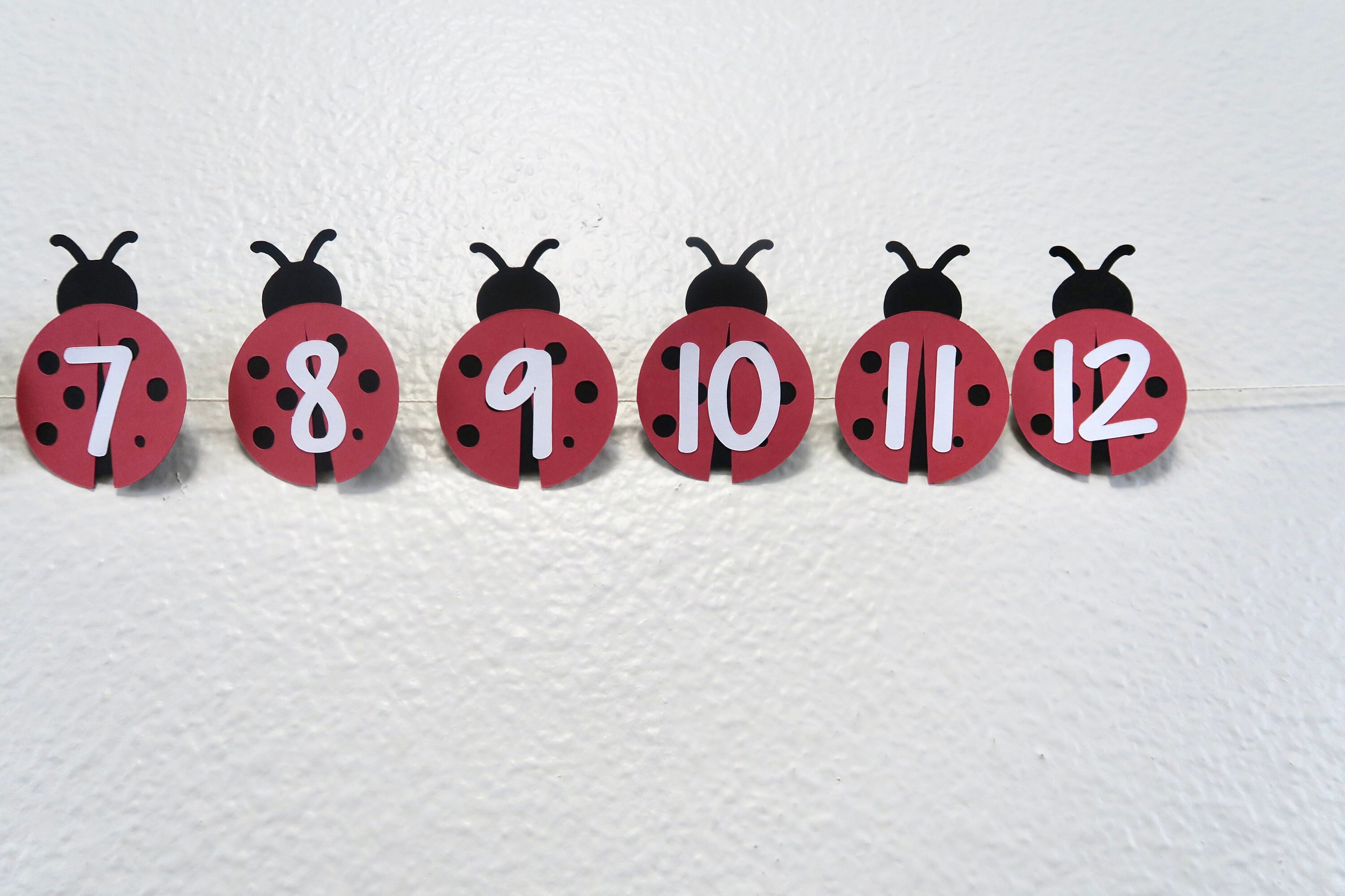 Ladybug Monthly Photo Banner Ladybug Birthday Lady Bug | Etsy