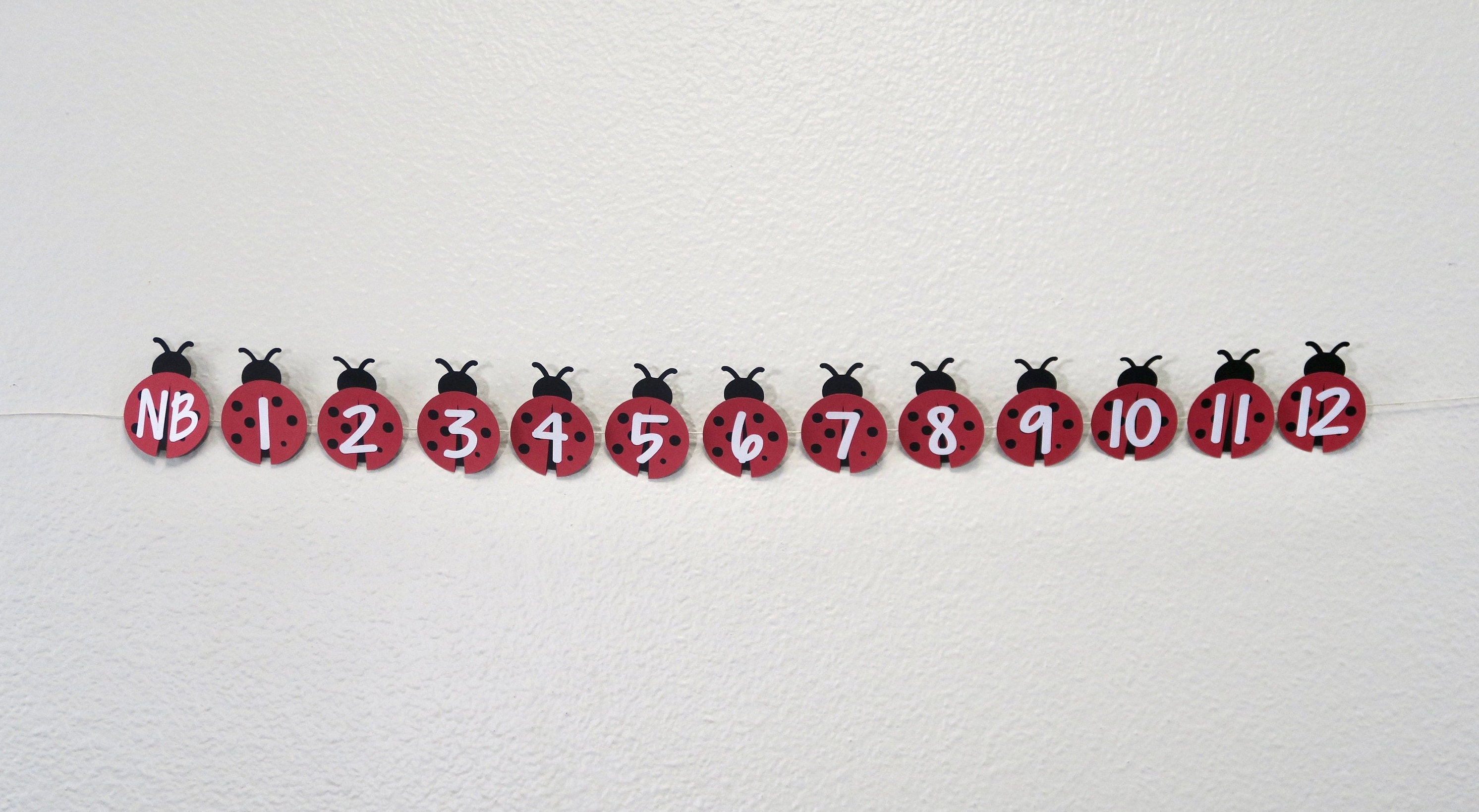 Ladybug Monthly Photo Banner Ladybug Birthday Lady Bug | Etsy