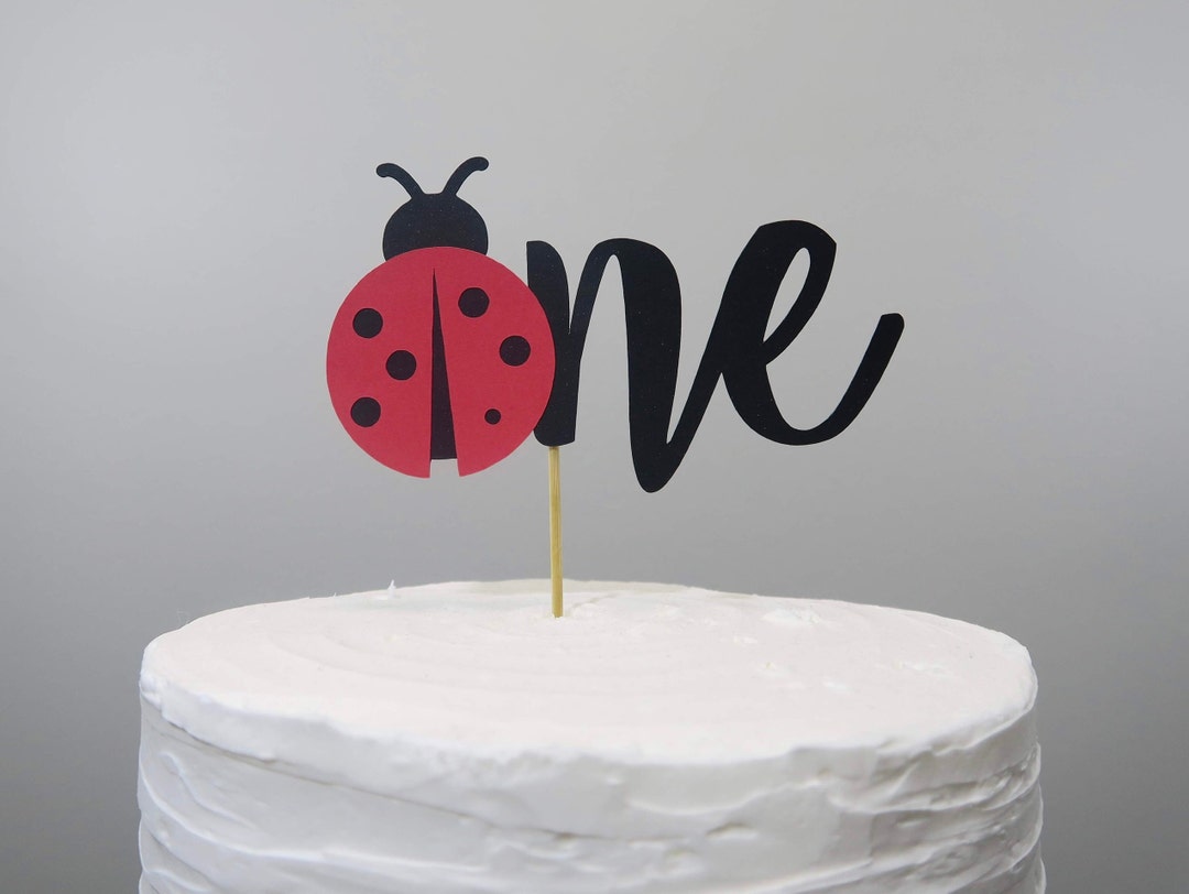 Lady Bug ONE Cake Topper - Girl First Birthday, Ladybug Birthday, First ...