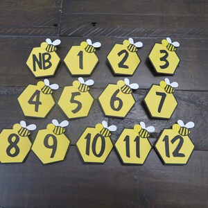 Bee Monthly Photo Banner, Beeday Theme, Bee First Birthday, Monthly ...