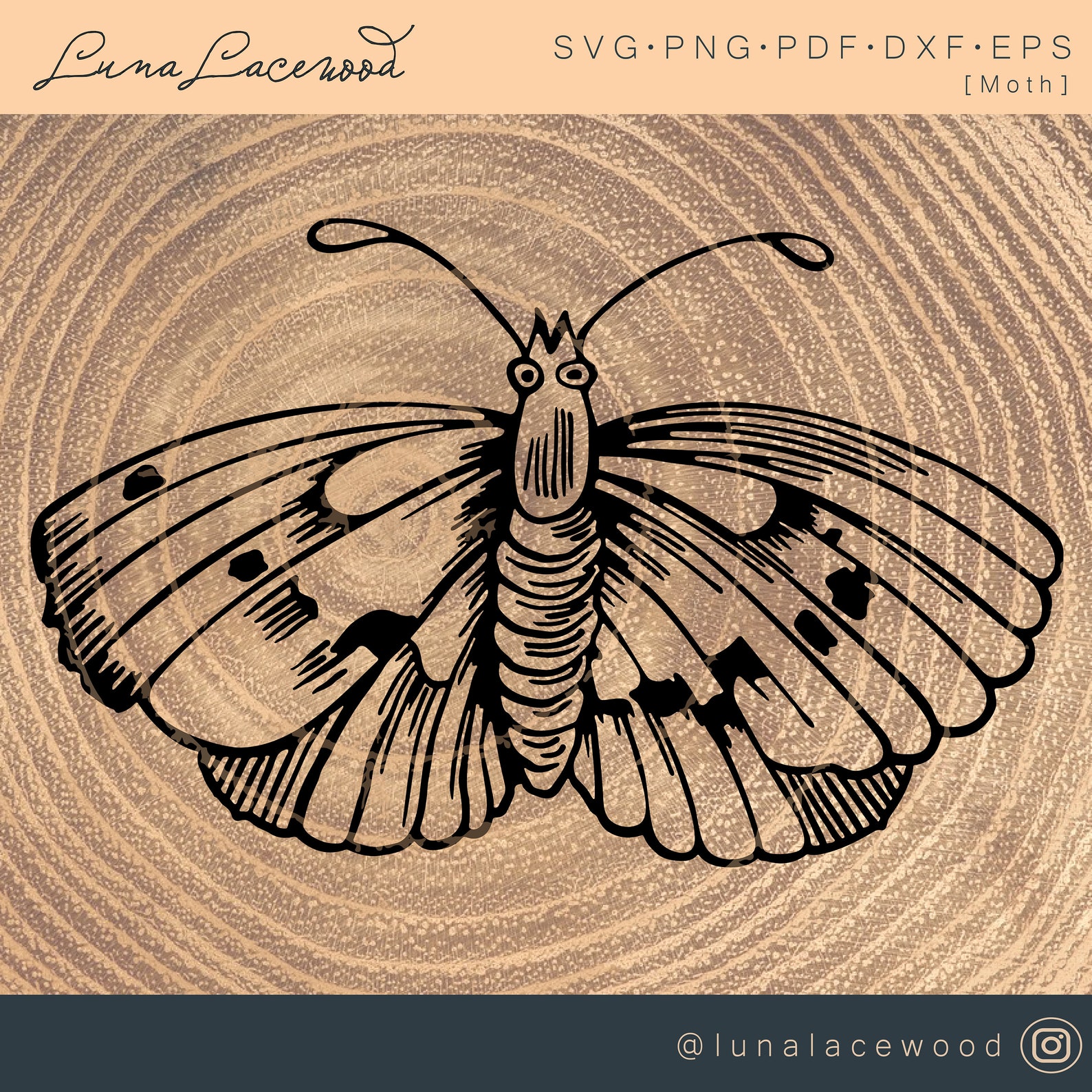 Moth SVG | Moth SVG for Cricut | Silhouette | Laser Cut File - Etsy