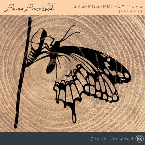 Butterfly SVG Butterfly Cocoon SVG for Cricut Silhouette - Etsy UK