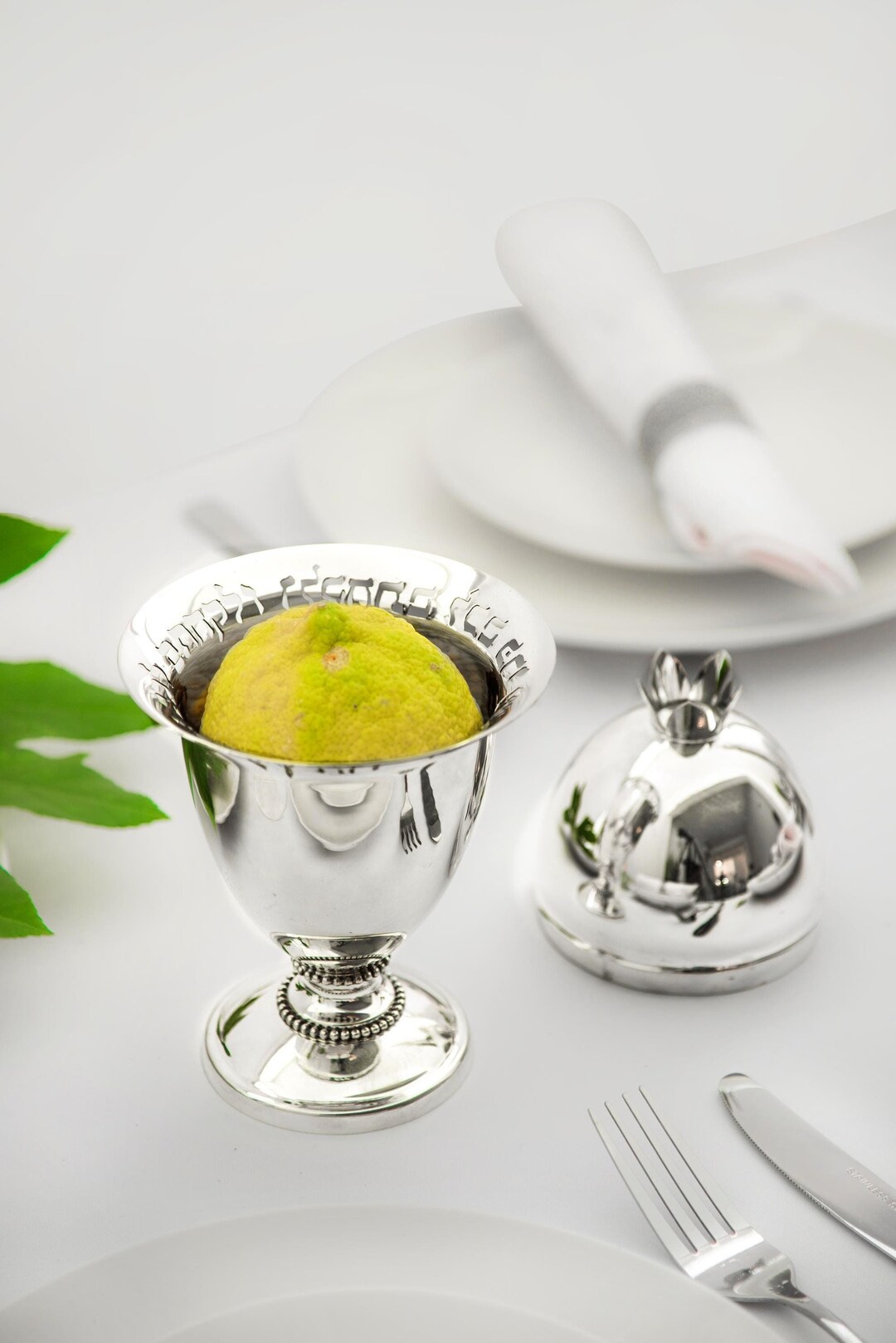 Modern Silver Etrog Box With Reflections Design - Etsy