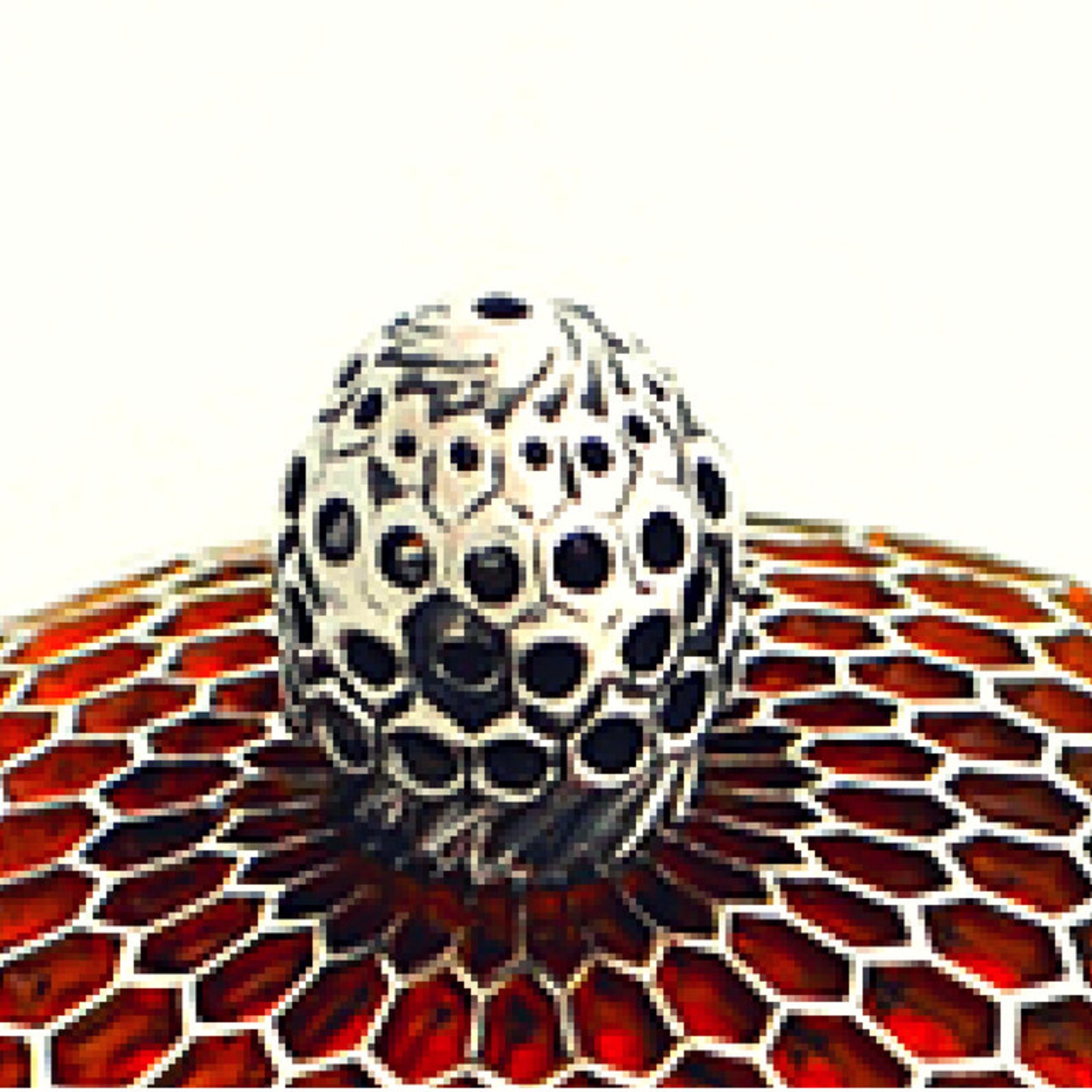 Stunning Sterling Silver Bee Hive Honey Dish Set With Cold Enamel - Etsy