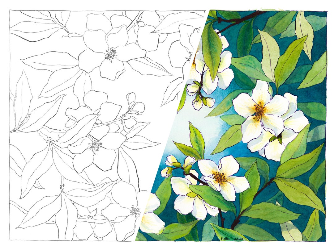 Printable Coloring Design: Unique, Hand Drawn Illustration for Instant ...