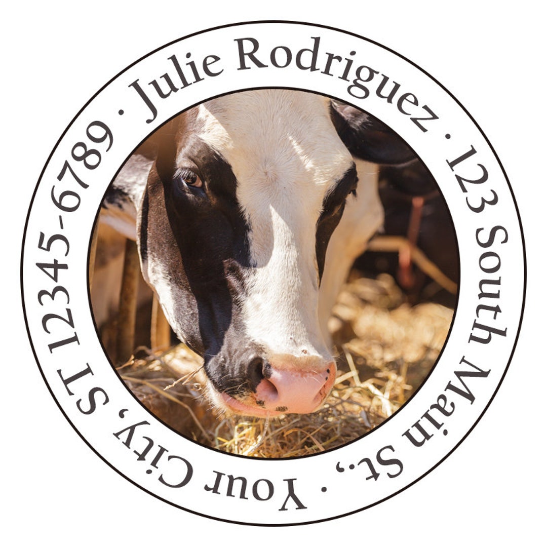Cow Calf Homestead Farmhouse Ranch Personalized Return Address - Etsy