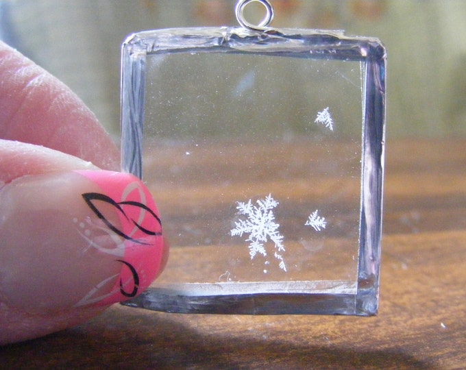 Real Snowflake 13 Preserved Snowflakes - Etsy