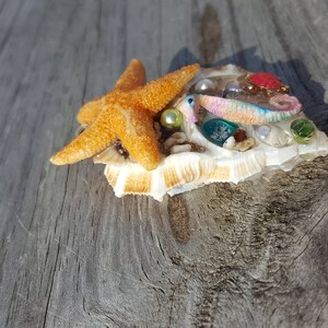 Preserved Snowflake Mermaid Charm Pendant Ornament Shell - Etsy