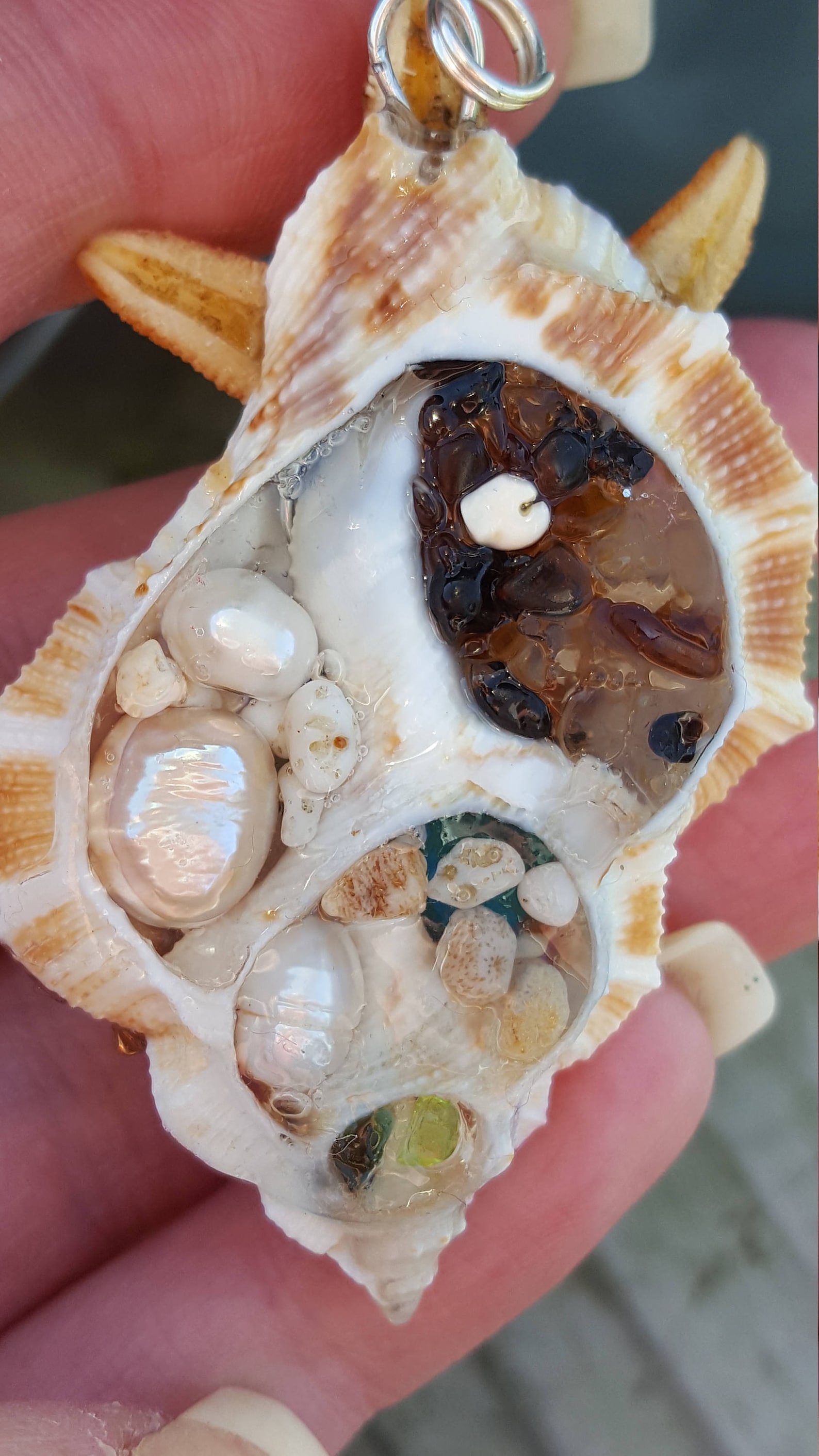 Preserved Snowflake Mermaid Charm Pendant Ornament Shell - Etsy