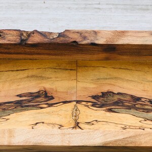 Book Matched Spalted Maple Mirror Clad in Wormy Ambrosia Maple, Country ...