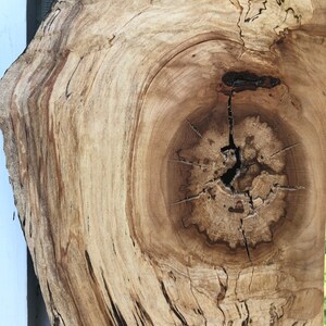 Live Edge Spalted Maple/ambrosia Maple Shelf Mirror, Book Matched ...