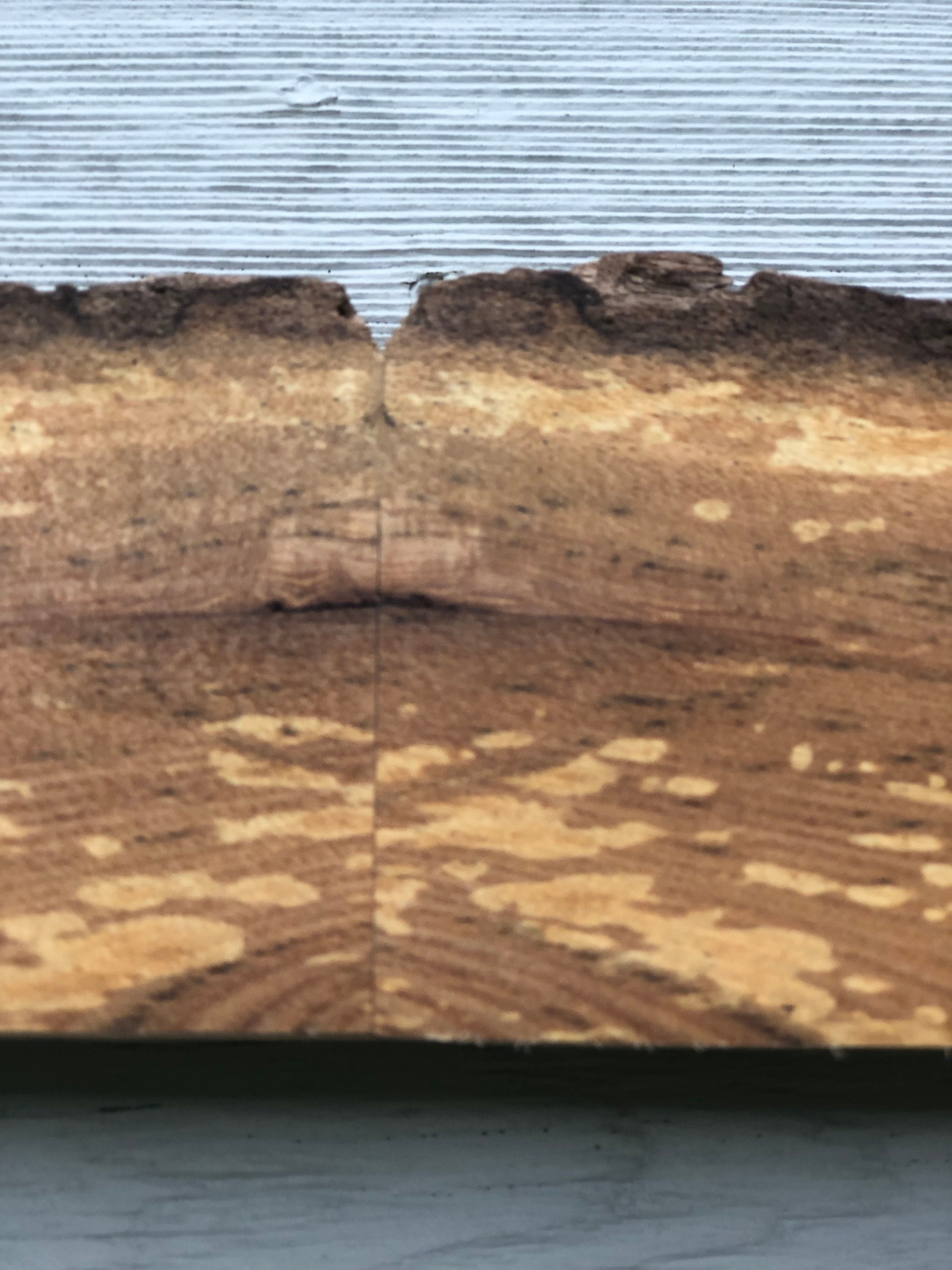 Distressed Ambrosia Maple Frame With Live Edge Spalted Maple Capital ...