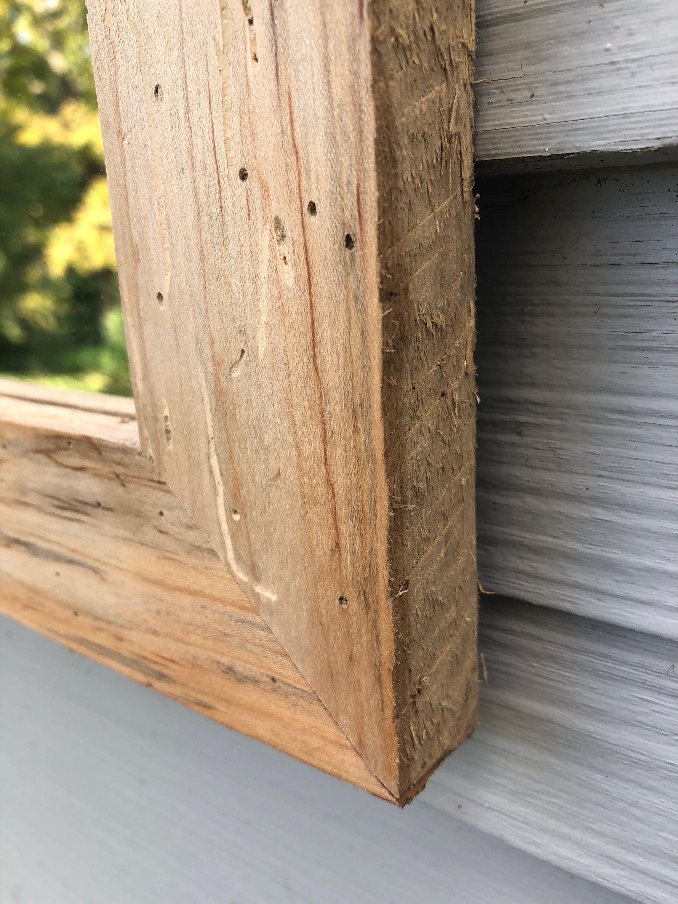 Knotty Live Edge Maple/ambrosia Maple Mirror, Book Matched, Country ...