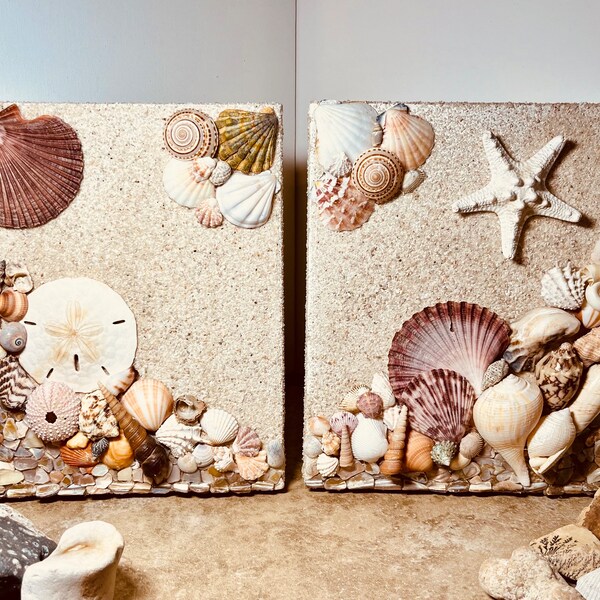 Shell Art on Canvas - Etsy