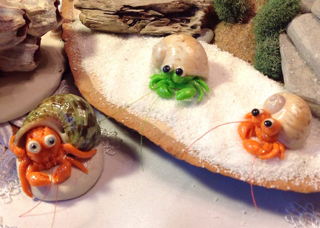 OOAK Miniature Hermit Crabs, Miniature Seaside Critters, Indoor Outdoor ...