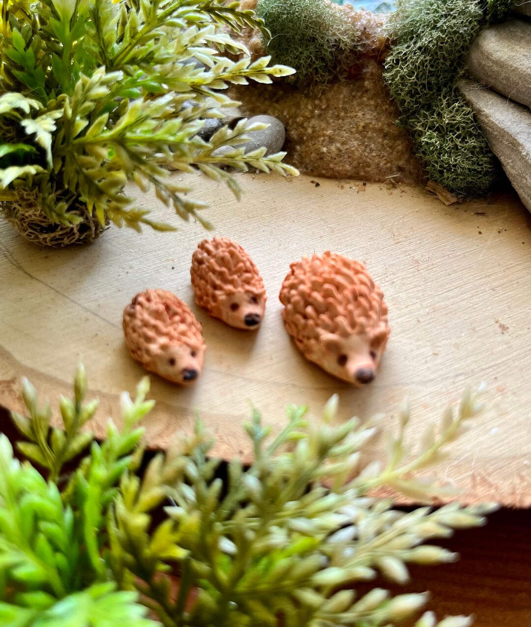 Miniature Hedgehog Woodland Scene, Fairy Garden Accessory, Terrarium ...
