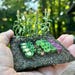 Miniature HO Scale Corn & Vegetable Garden - Dollhouse Fairy Garden - Etsy